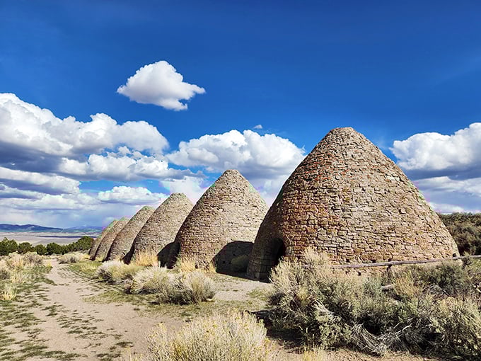 The Ward Charcoal Ovens look like giant stone beehives dropped by ancient aliens who clearly understood the importance of good barbecue infrastructure.