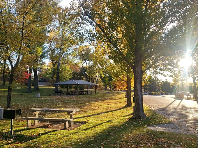 Washington Park in autumn glory&mdash;where golden light filters through changing leaves and picnic shelters await families who understand that nature is the best dining room.