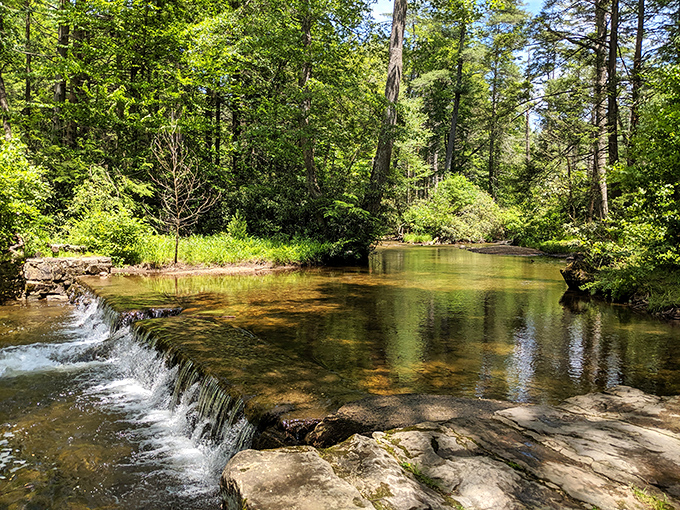 Mother Nature's infinity pool. This gentle cascade creates the kind of tranquil soundtrack you'd pay good money for on a meditation app.