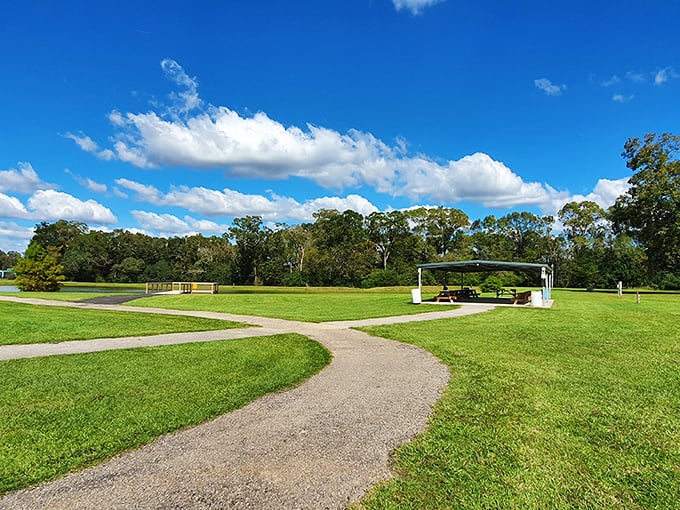 Mother Nature's living room awaits at West Feliciana Parish Parks, where clouds perform their daily ballet above pristine green spaces.