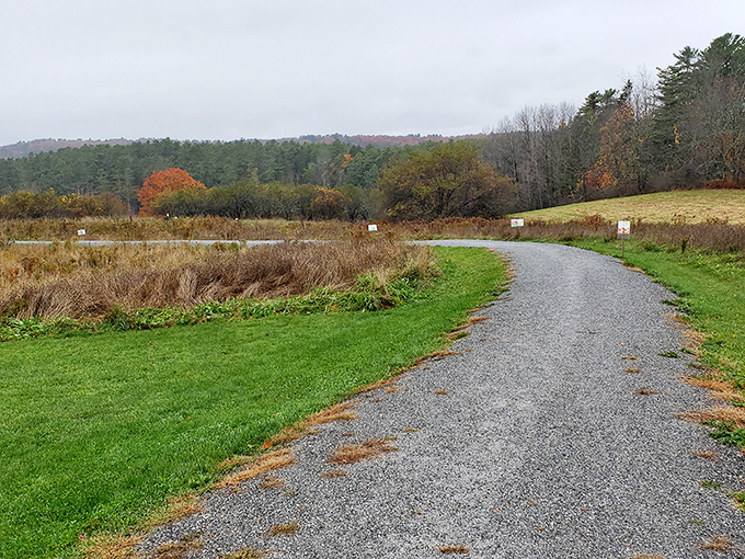 Nature's quiet canvas &ndash; this winding trail through Whaleback Shell Midden whispers stories of ancient peoples who gathered here thousands of years ago.