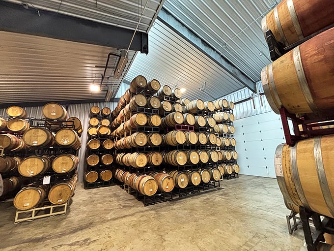 Oak barrels stacked like a wine lover's Jenga game, each one holding liquid treasures that get better with every passing day.