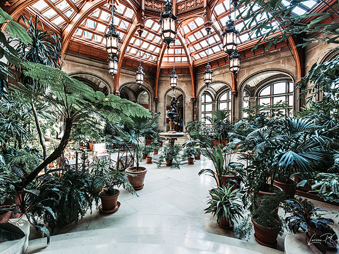 The Winter Garden brings the outdoors inside with a glass-domed paradise. It's like Mother Nature's VIP lounge, no seasonal membership required. 