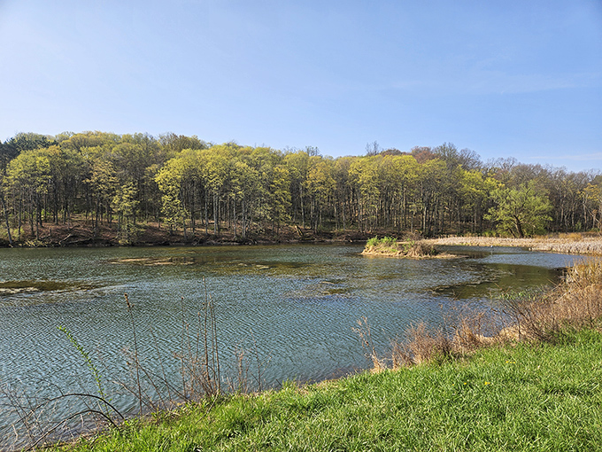 Nature doesn't need Instagram filters in Coshocton County. This serene waterscape at Woodbury Wildlife Area offers the kind of peace you can't download from an app.