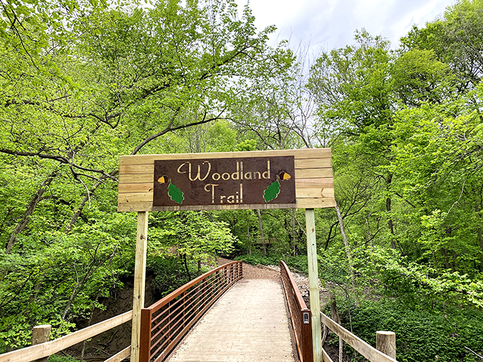 The Woodland Trail welcomes you like an old friend inviting you into nature's living room.