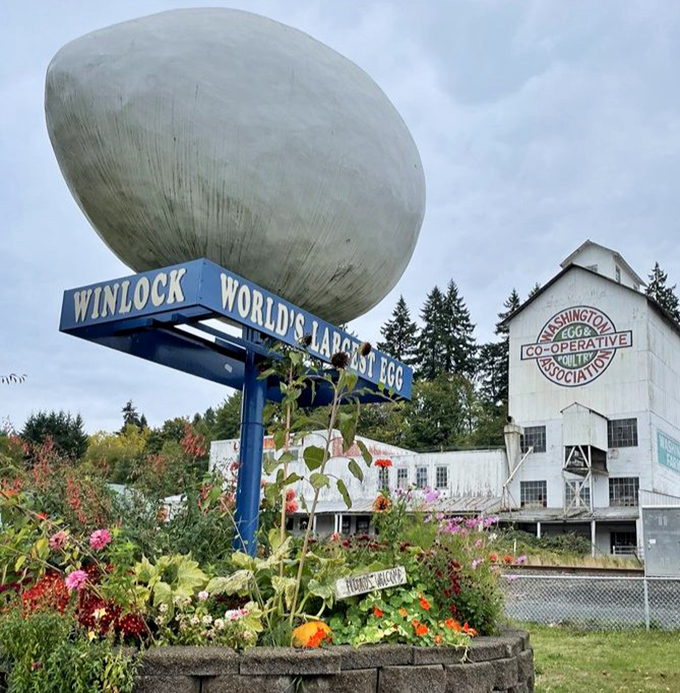 3. world&rsquo;s largest egg close up view