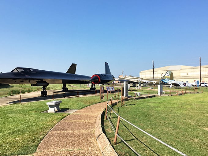 Walking this path feels like strolling through aviation's greatest hits album, with each aircraft telling its own chart-topping story.