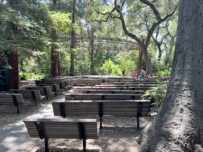 The outdoor amphitheater proves that the best performances sometimes come with a canopy of ancient oak trees overhead.