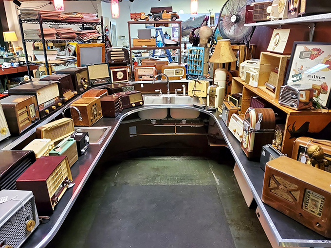 Radio heaven! This collection would make Marconi weep with joy&mdash;each dial potentially still holding the ghostly echoes of FDR's fireside chats.