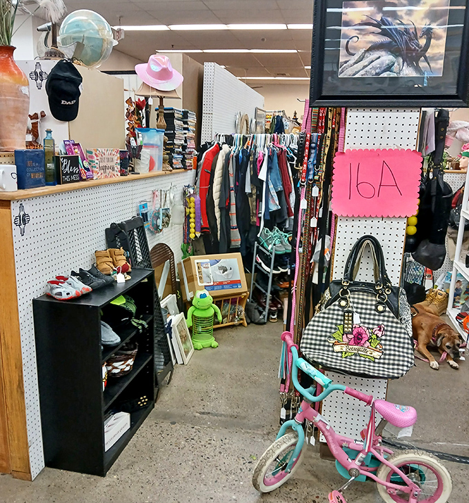 Every clothing rack tells a different story, from vintage denim to that perfect hat waiting for its next adventure.