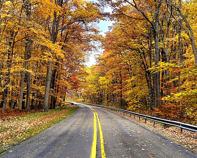 The Kinzua Skywalk: where acrophobia meets autumn splendor. Visitors brave the glass-bottomed overlook while trees below put on their seasonal fashion show.