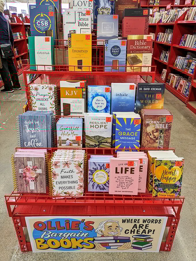 Bibliophiles rejoice! Ollie's book section offers everything from bestsellers to Bibles at prices that make building your home library actually affordable.