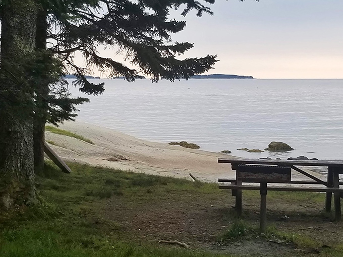 The bench that launched a thousand daydreams &ndash; where sitting and doing absolutely nothing becomes an art form.