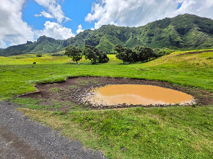 Not your average mud puddle. This humble watering hole sits beneath mountains that look like they were sketched by a particularly ambitious artist.