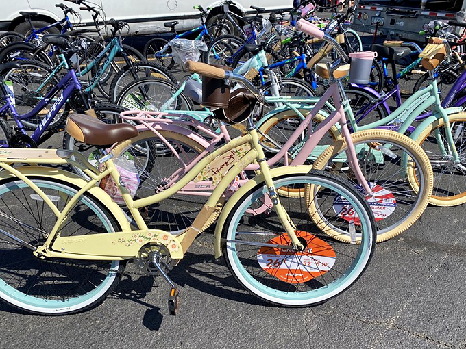 A rainbow of retro cruisers and practical pedals. These bikes aren't just transportation; they're childhood nostalgia with handlebars.