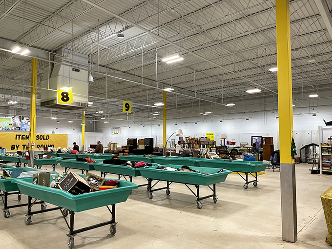 The modern-day equivalent of pirate treasure chests, these turquoise bins hold everyday gold for the patient explorer.