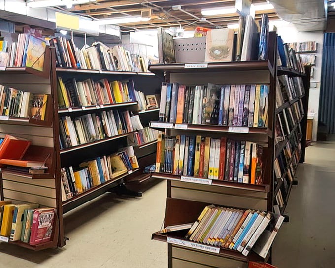 Bookworms beware! You might enter for a quick browse and emerge three hours later with an armful of literary treasures and zero regrets.