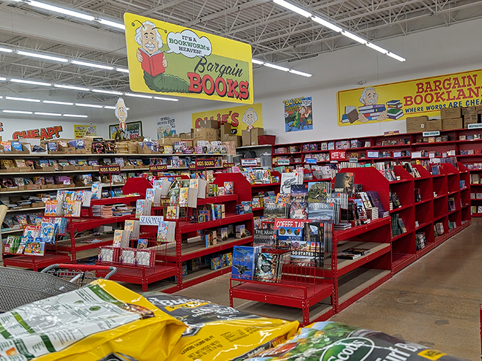 The book section &ndash; where bibliophiles can build libraries without mortgage applications. That cartoon bookworm knows exactly what he's doing.