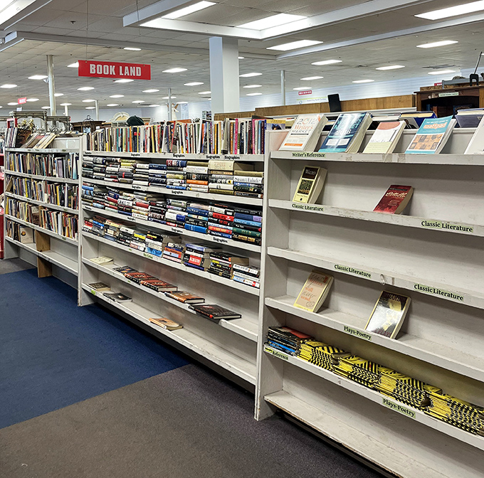 Welcome to "Book Land," where literary treasures await at prices that make bibliophiles weep with joy. Classic literature never goes out of style.