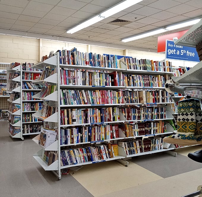 Literary treasures stacked floor to ceiling because someone's spring cleaning is about to become your next reading obsession.