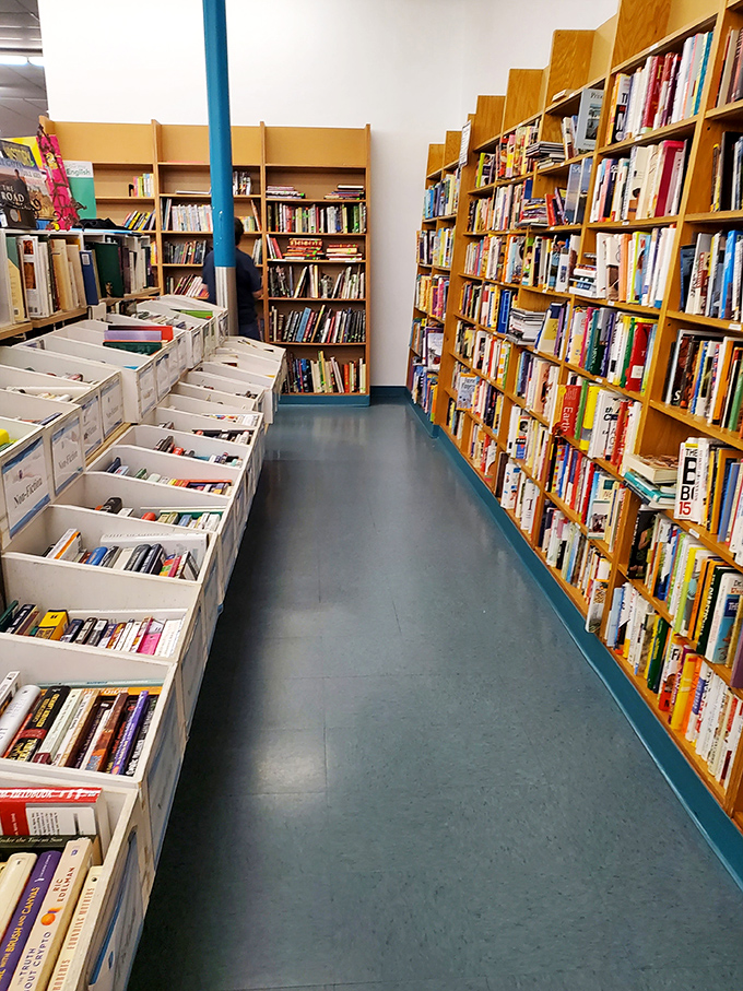 Bibliophiles beware: enter this literary labyrinth and you might emerge hours later with armfuls of paperback gold and zero regrets.