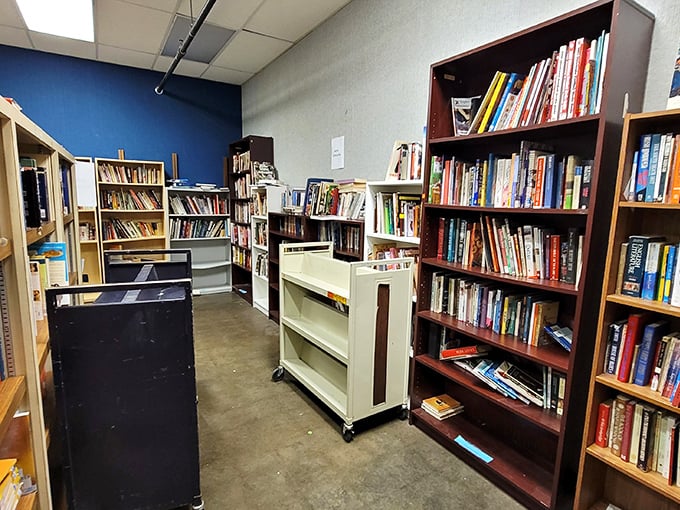 Bibliophiles, prepare your tote bags! These shelves hold everything from forgotten bestsellers to that cookbook your grandmother swore by.