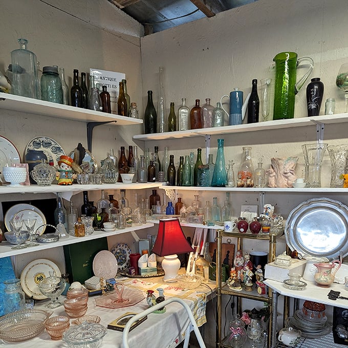 A glass menagerie of history catches the light. These bottles once held everything from medicine to moonshine&mdash;now they're collectible time capsules.