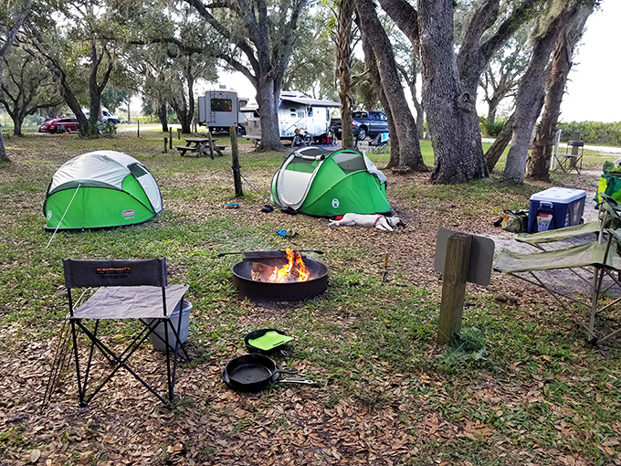 Camping beneath ancient oaks, where the nightly entertainment is a million stars and the occasional raccoon comedy hour.