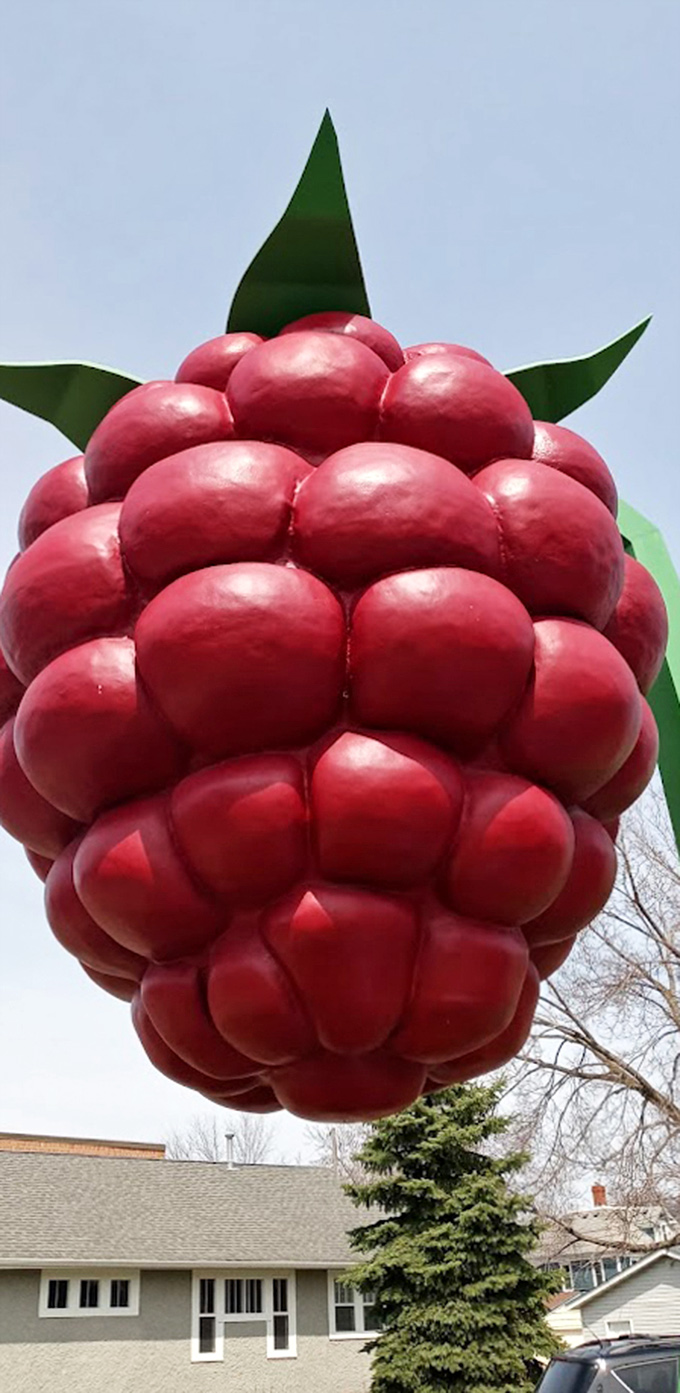 Up close, you can appreciate the meticulous craftsmanship of each drupelet. No seeds to pick out of your teeth with this one!