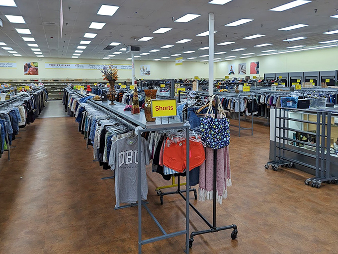 Shorts, shirts, and endless possibilities organized with military precision. Finding your size has never felt so much like a treasure hunt.