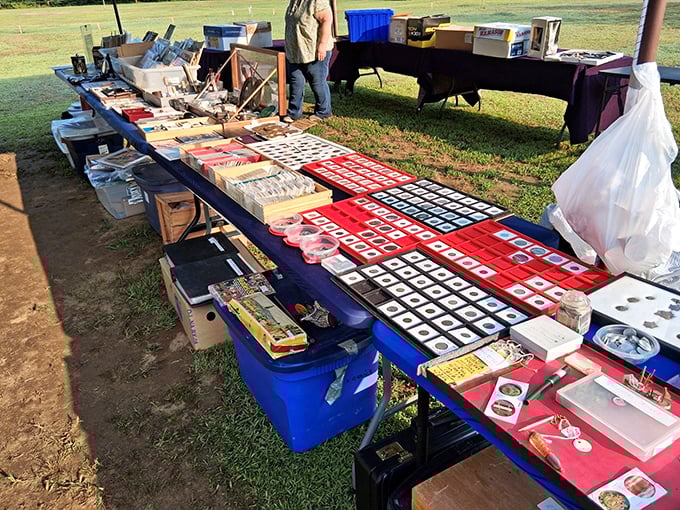 A collector's dream tableau—meticulously organized coin displays and collectibles await the discerning eye of someone who knows that value isn't always measured in dollars.