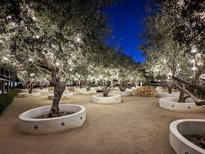 These illuminated olive trees create a magical dining atmosphere that would make even the most jaded Californian put down their phone and look up.