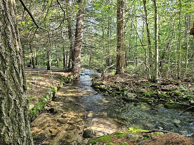 Crystal clear waters meander through moss-covered stones, creating nature's version of a spa soundtrack &ndash; no "download for sleep" playlist needed.