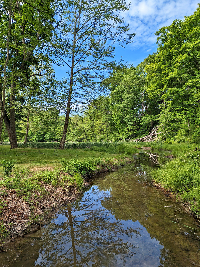 Mother Nature's screensaver comes to life at this tranquil stream, where reflections dance and worries dissolve faster than aspirin.