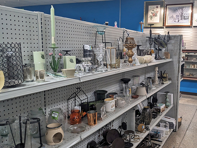 Each shelf tells a different story&mdash;vintage glassware, quirky lamps, and forgotten treasures waiting for their second act in someone's carefully curated home.