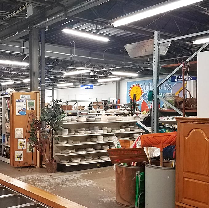 Shelves stacked with everyday essentials tell silent stories of past homes while waiting patiently for their next chapter to begin.