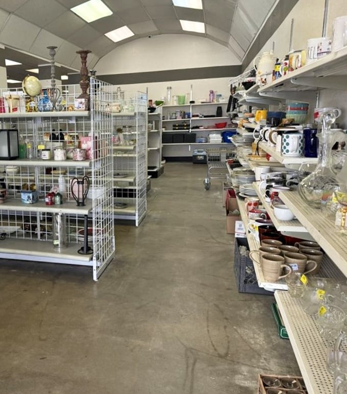 Organized chaos at its finest &ndash; shelves of glassware and housewares stretch into the distance like an archaeological dig for modern treasures.