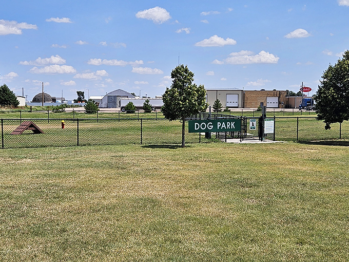 Even four-legged art critics get their own space nearby. This dog park proves Goodland understands the importance of catering to the entire family.