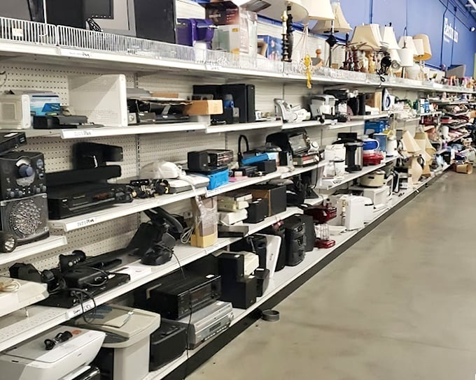 The small appliance graveyard—or is it heaven? Yesterday's bread makers and coffee machines await their second chance at culinary greatness.