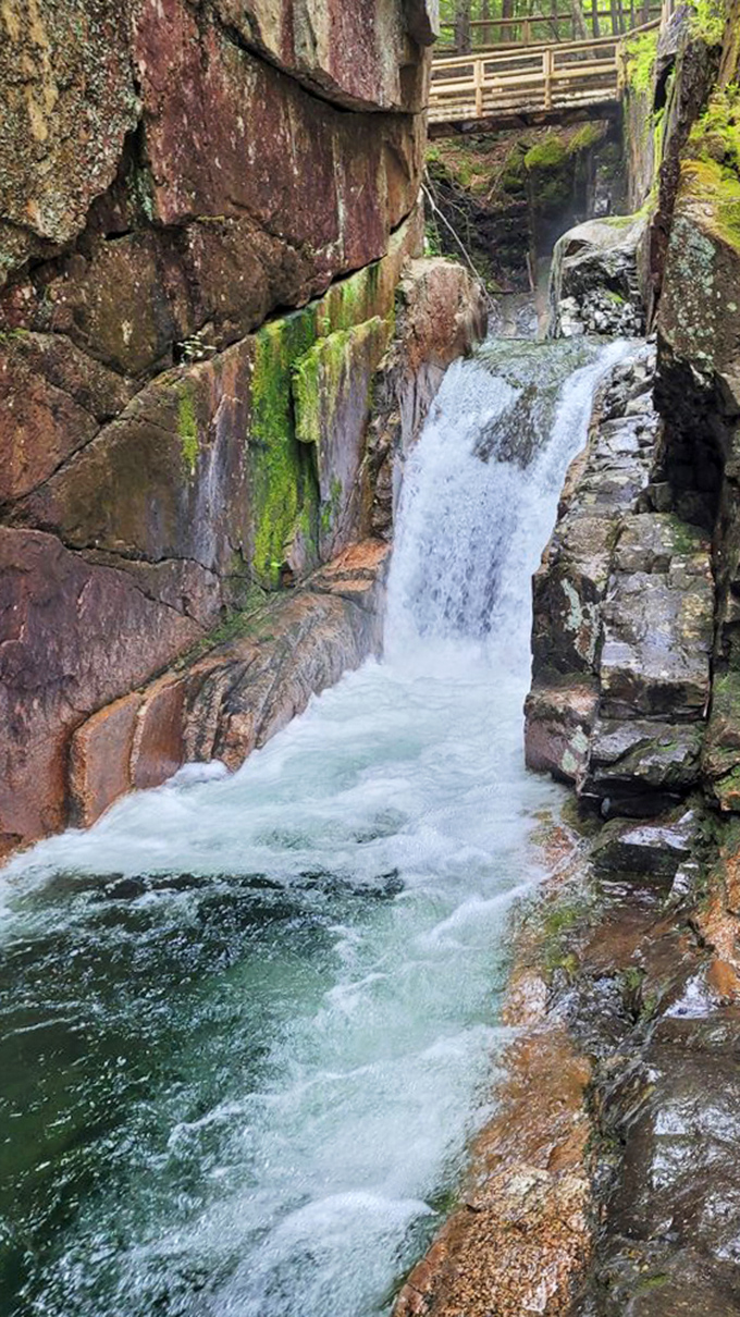 Where water meets determination. Centuries of persistent flow have carved this stunning gorge, proving that patience really does create the most spectacular art.
