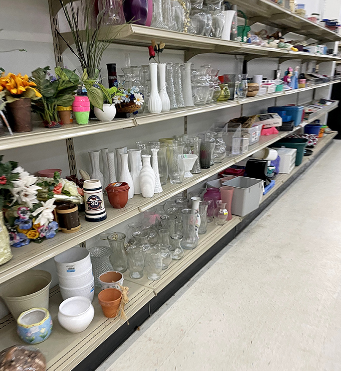 Vases that once graced other homes stand ready for their second act. Each has a story, waiting for you to write the next chapter.