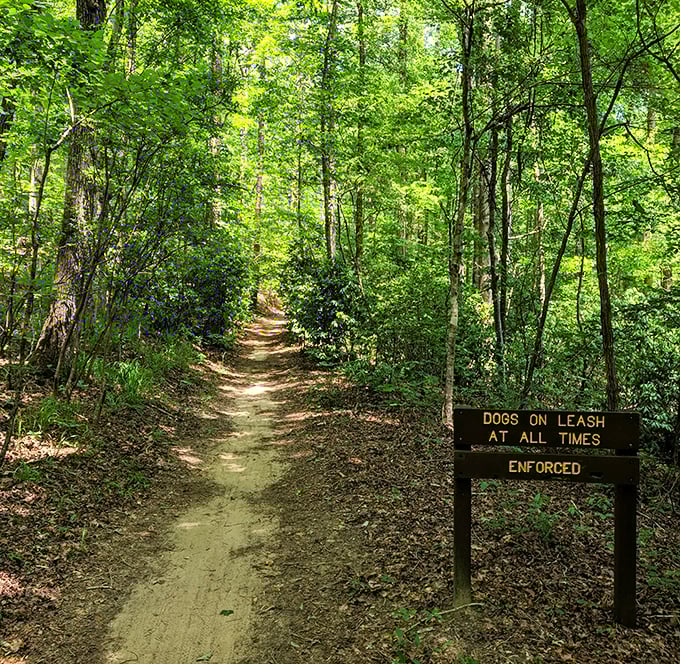 Into the woods we go… This shaded trail invites hikers of all levels to explore, with the gentle reminder that our four-legged friends need to stay leashed. Fair enough.