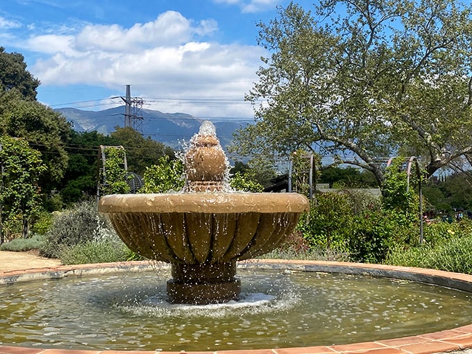 This elegant fountain offers a moment of zen amid the botanical splendor. The gentle splash creates nature's soundtrack for garden wanderers.