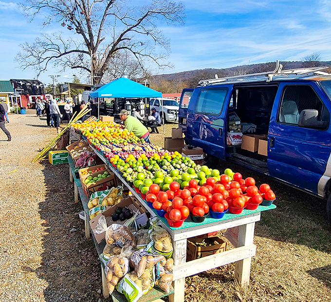 Nature's candy store! These farm-fresh tomatoes and fruits aren't just produce&mdash;they're edible sunshine straight from Alabama soil.