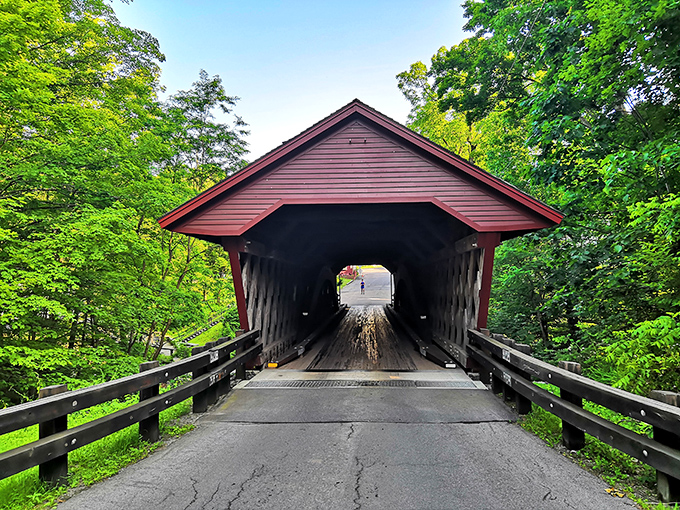 The bridge's welcoming entrance frames nature like a living postcard. That light at the end? Pure upstate magic in every season.