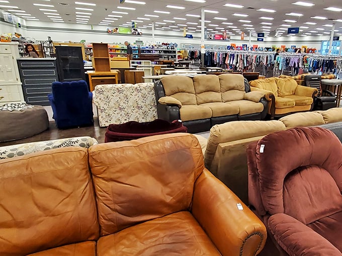 Sofa safari at its finest. Each cushioned creature has stories to tell, just waiting for the right living room to call home.