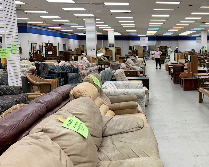 The furniture section stretches to the horizon like an IKEA without the meatballs or relationship tests. Just pure, comfortable possibility.