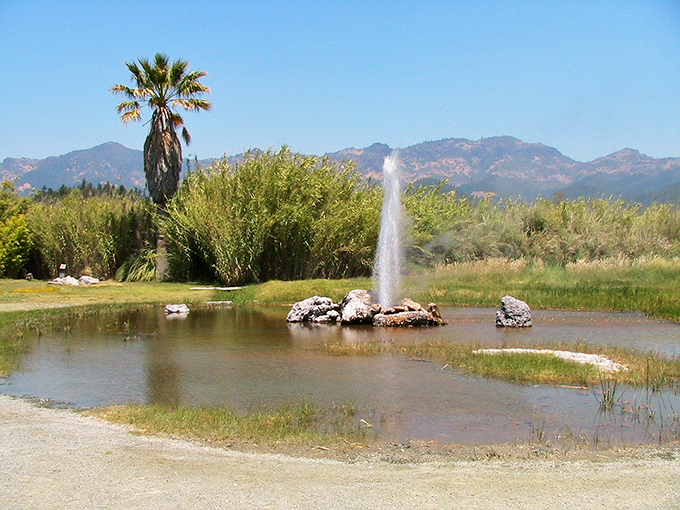 Like a postcard come to life, Old Faithful performs its aquatic ballet with the Palisade Mountains providing a majestic backdrop.
