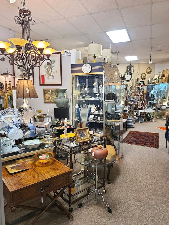 Chandeliers and curiosities compete for your attention. If these display cases could talk, they'd have stories spanning centuries.