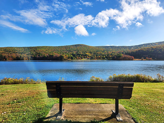 That bench knows all the secrets &ndash; positioned perfectly for contemplating life's mysteries or just your lunch plans.